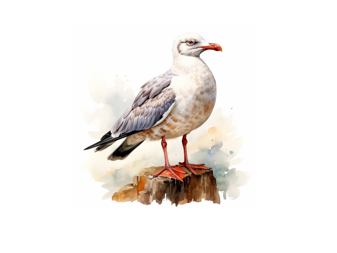 Seagull Watercolor Print, Animal Watercolor Print, Seagull Wall Art ...