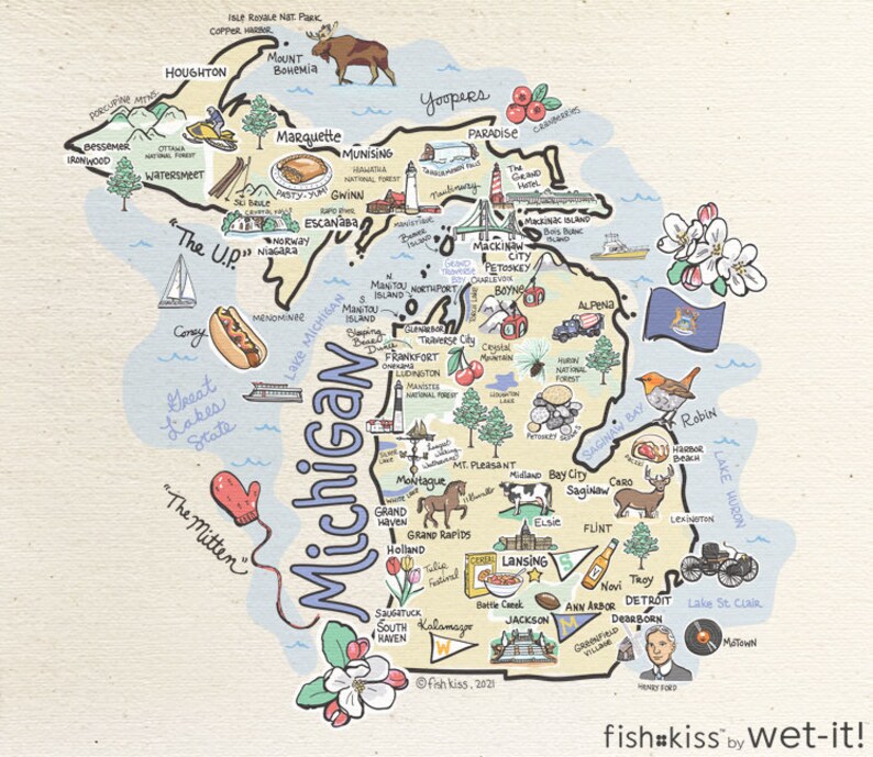 Wet-it! Michigan Dishcloth, State Map Dishcloth, Swedish Dishcloth ...