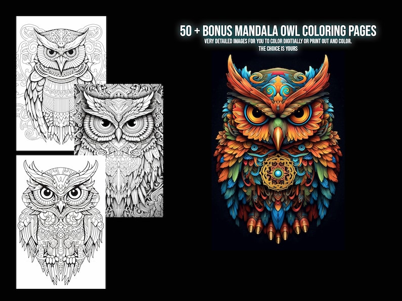 Printable 50 + Owl Mandala Adult Coloring Pages - Etsy