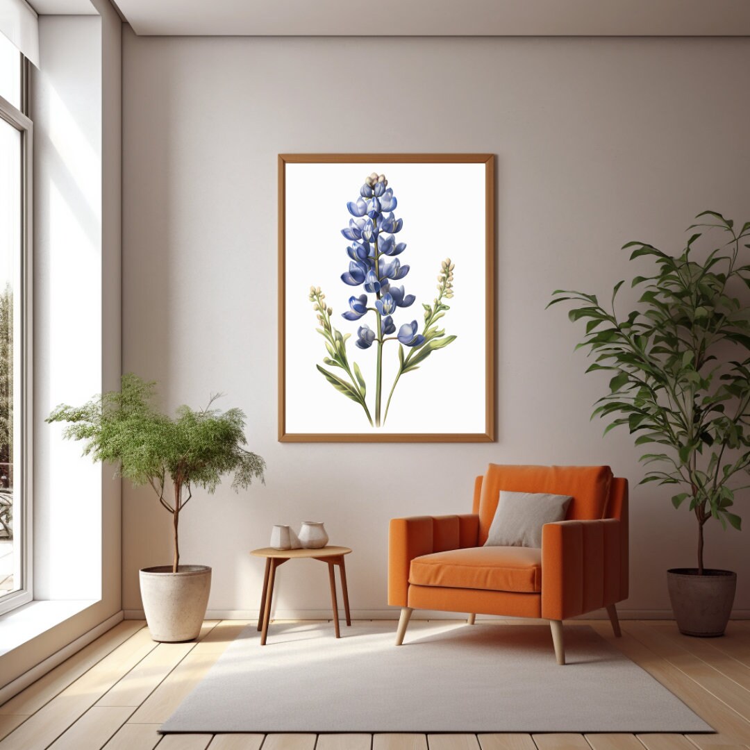 Texas Bluebonnet, Digital Drawing of a Native Texas Wildflowers ...