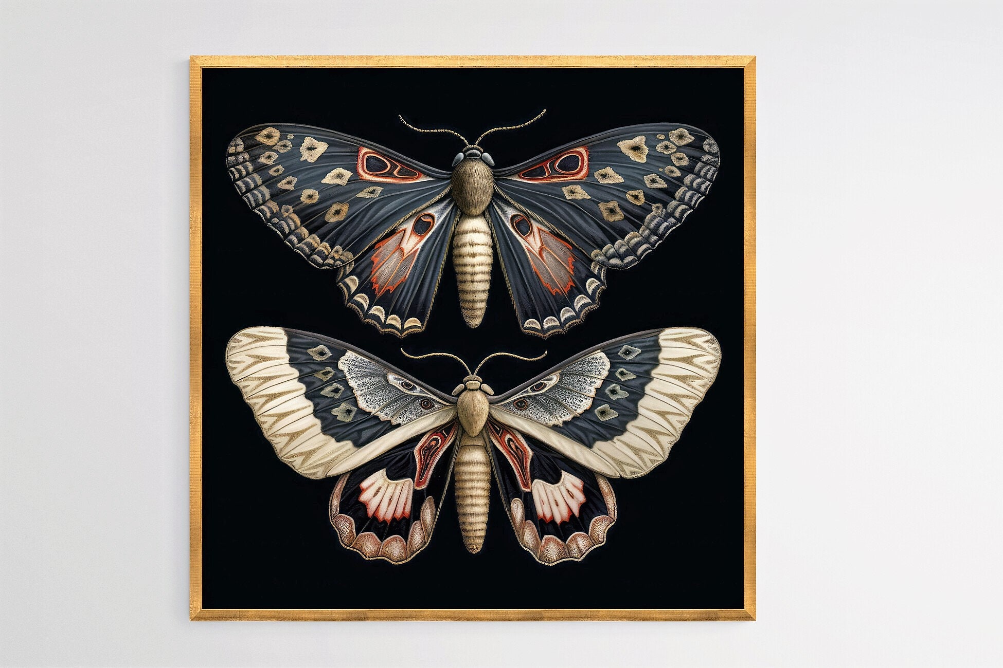 Vintage Moth Print Set: Large Insect Wall Art (digital Download) - Etsy