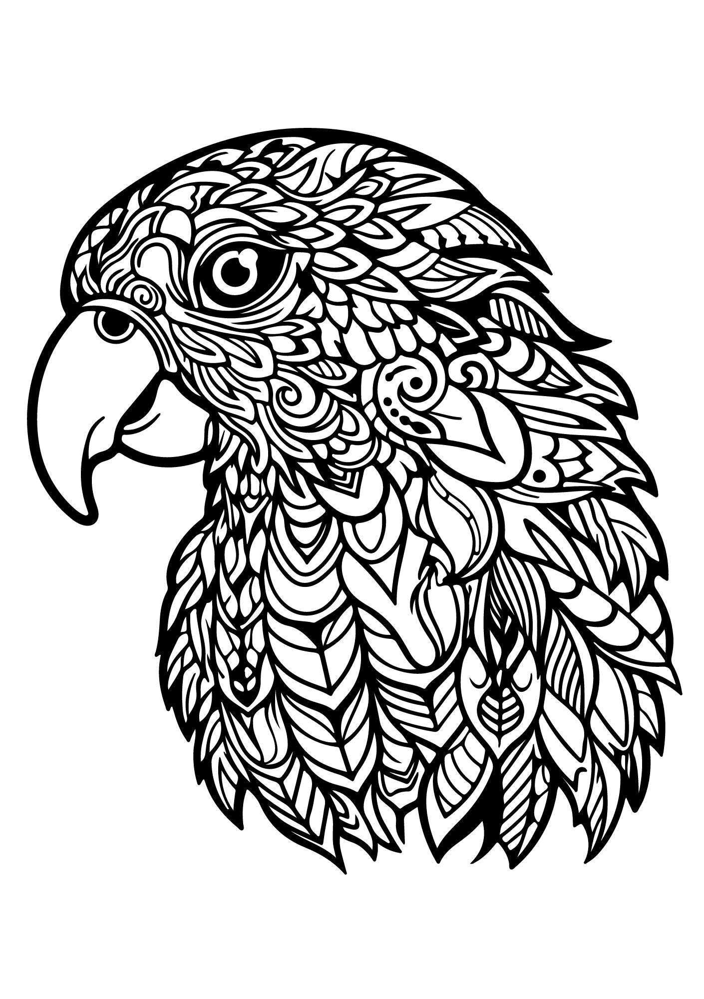 Adult Animal Coloring Pages - Etsy