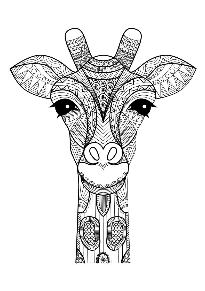 Adult Animal Coloring Pages - Etsy