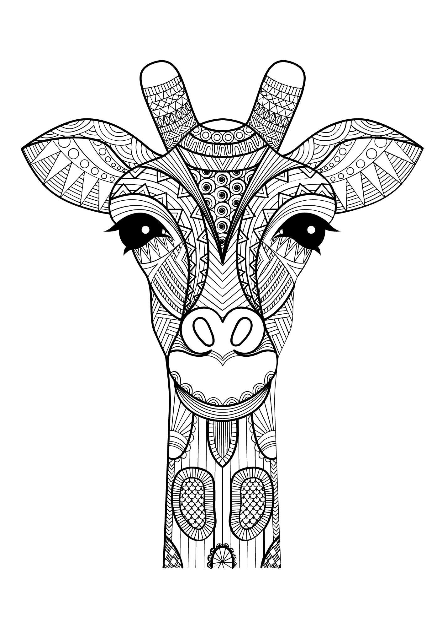 Adult Animal Coloring Pages - Etsy