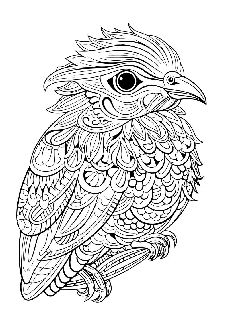 Adult Animal Coloring Pages - Etsy