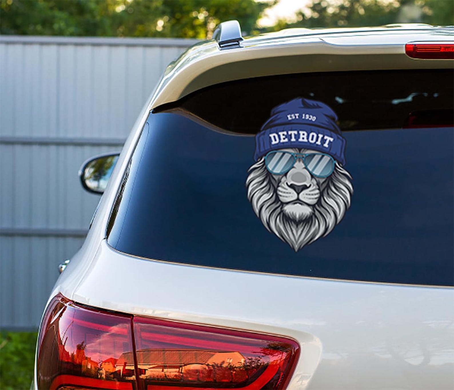 Detroit Lions Svg, Detroit Football SVG, Cricut, Silhouette ...