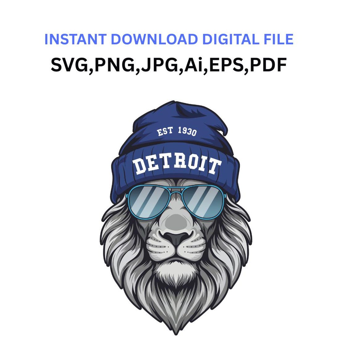 Detroit Lions Svg, Detroit Football SVG, Cricut, Silhouette ...