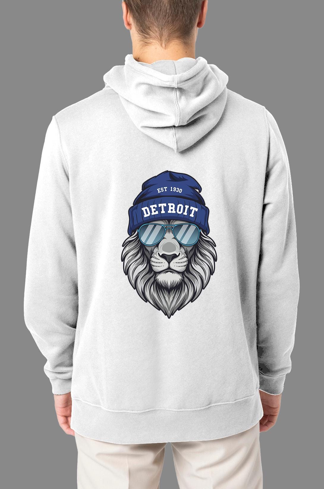 Detroit Lions Svg, Detroit Football SVG, Cricut, Silhouette ...