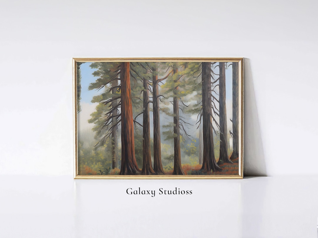 Vintage Redwood Trees Painting Wall Art Majestic Forest Nature Print ...