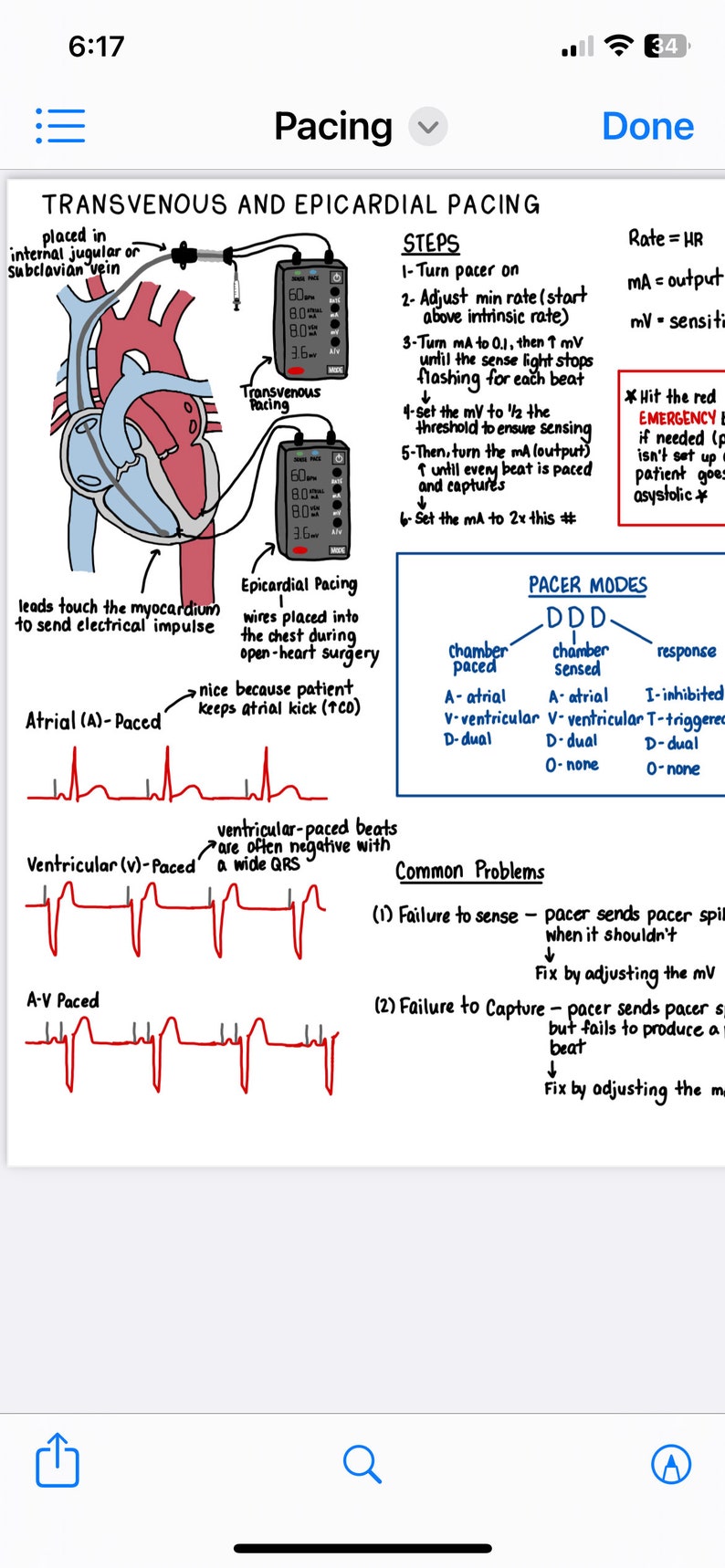 Hemodynamics Notes - Etsy