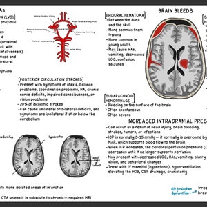 Nurse Basics for the ED - Etsy