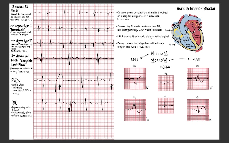 Nurse Basics for the ED - Etsy