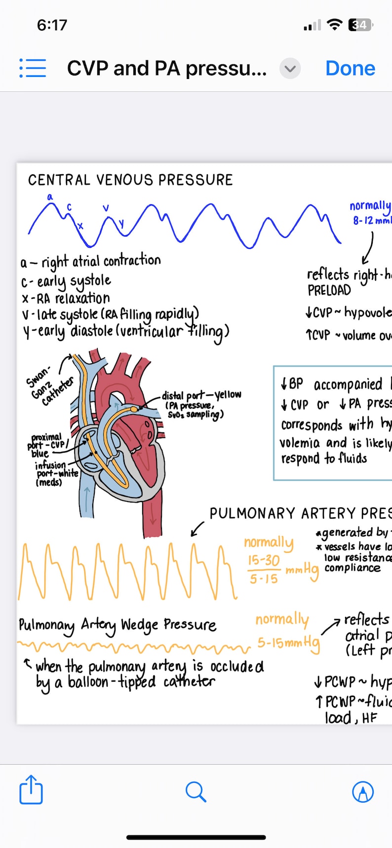 Hemodynamics Notes - Etsy