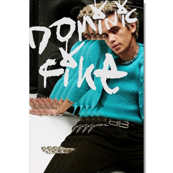 Dominic Fike Wall Art Poster - Etsy