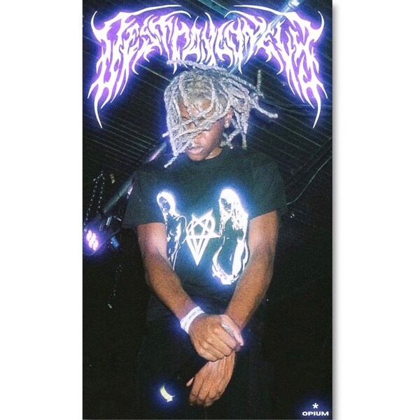 Destroy Lonely Poster - Etsy