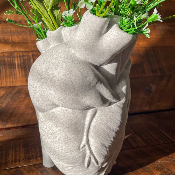 Anatomical Heart Vase - Etsy