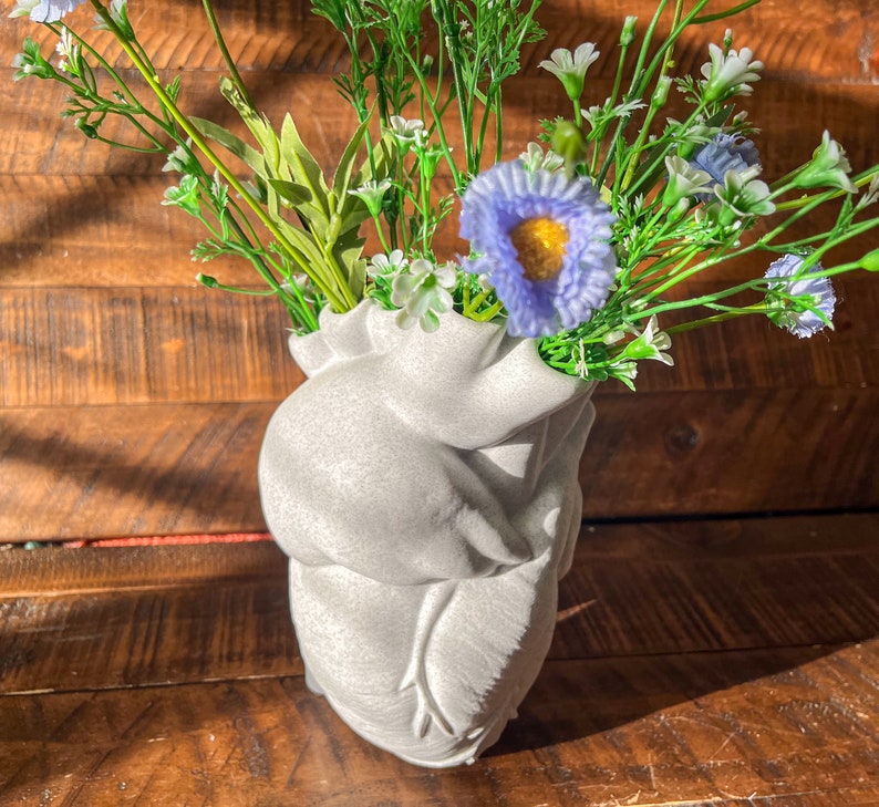 3D Printed Anatomical Heart Shaped Vase Flower Pot - Etsy