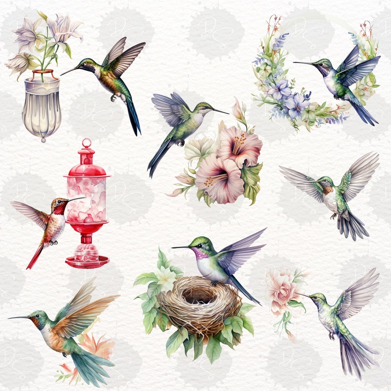 Hummingbird Png, Watercolor Bundle, Exotic Birds, Hummingbird Art ...