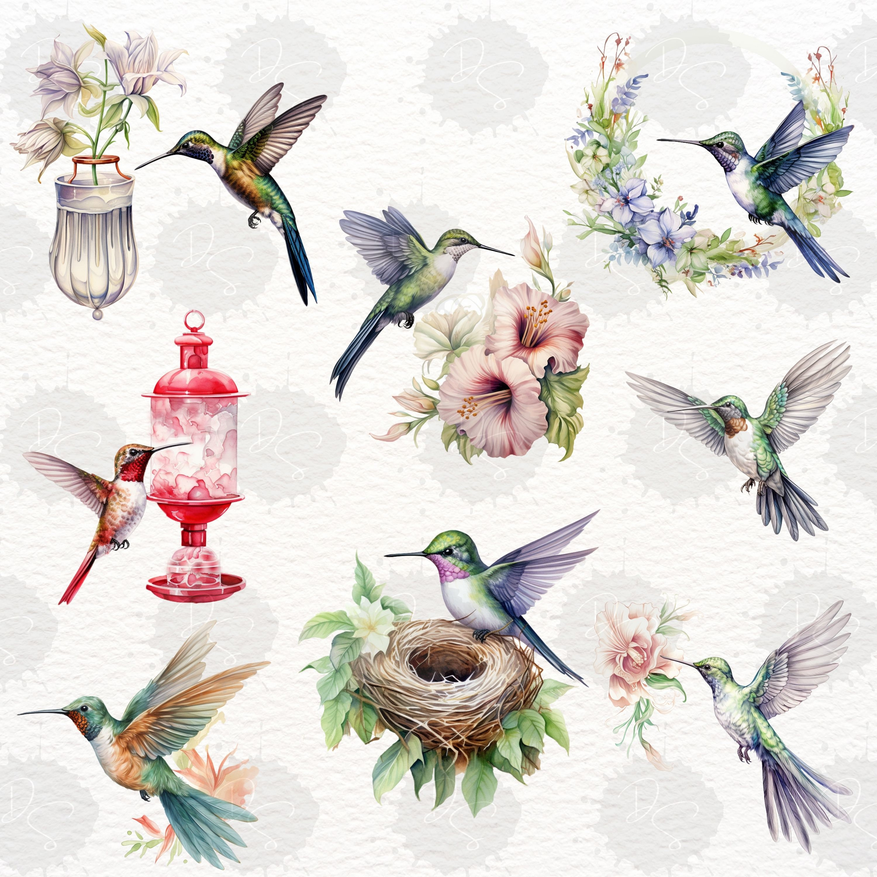 Hummingbird Png, Watercolor Bundle, Exotic Birds, Hummingbird Art ...