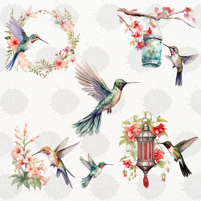 Hummingbird Png, Watercolor Bundle, Exotic Birds, Hummingbird Art ...