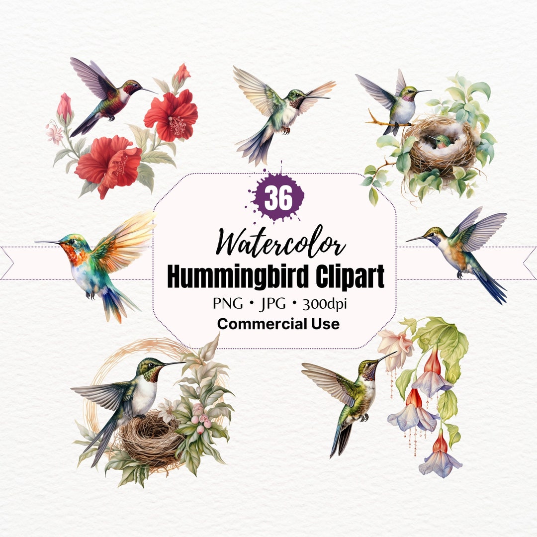 Hummingbird Png, Watercolor Bundle, Exotic Birds, Hummingbird Art ...
