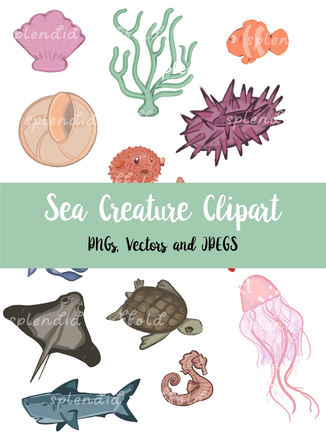 Sea Animals Clipart | Sea Creature Pngs, Jpegs, Vectors, Under the Sea ...