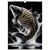 Stunning Digital Carp Artwork - High-resolution Fishing Wall Art ...
