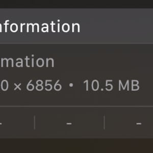 Stunning Digital Carp Artwork High-resolution Fishing Wall Art ...