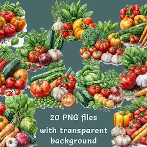 Vegetable Clipart Set, 20 Watercolor PNG, Commercial Use, Perfect for ...