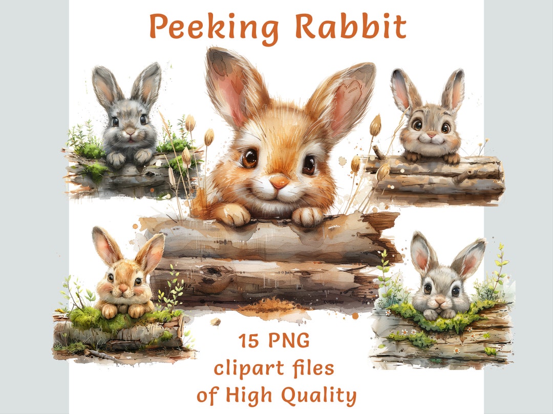 Peeking Rabbit Clipart - 15 Watercolor PNG Files for Commercial Use ...