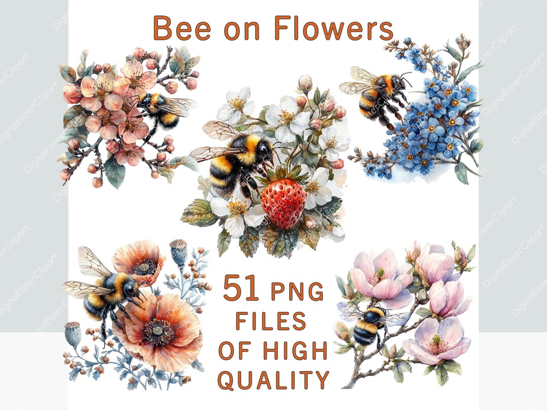 Bee Clipart Bundle, Watercolor Floral Clipart, Commercial Use Floral ...