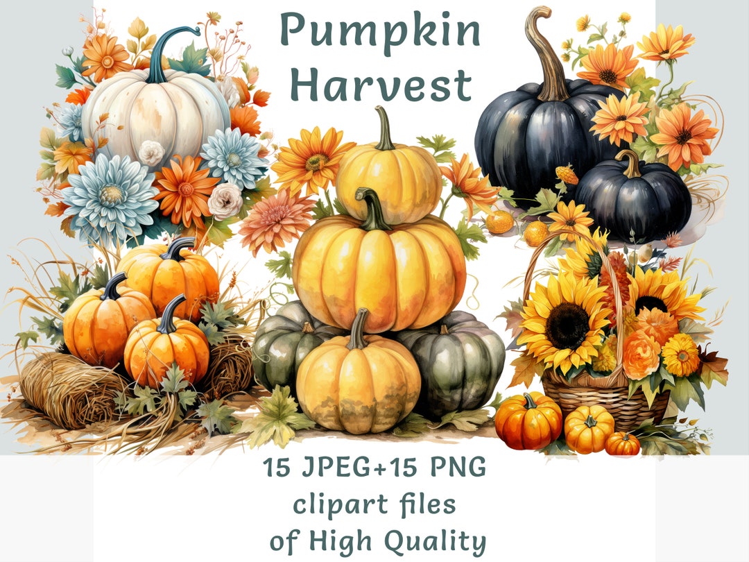 Autumn Pumpkin Harvest Clipart, 15 Watercolor Halloween PNG/JPEG ...