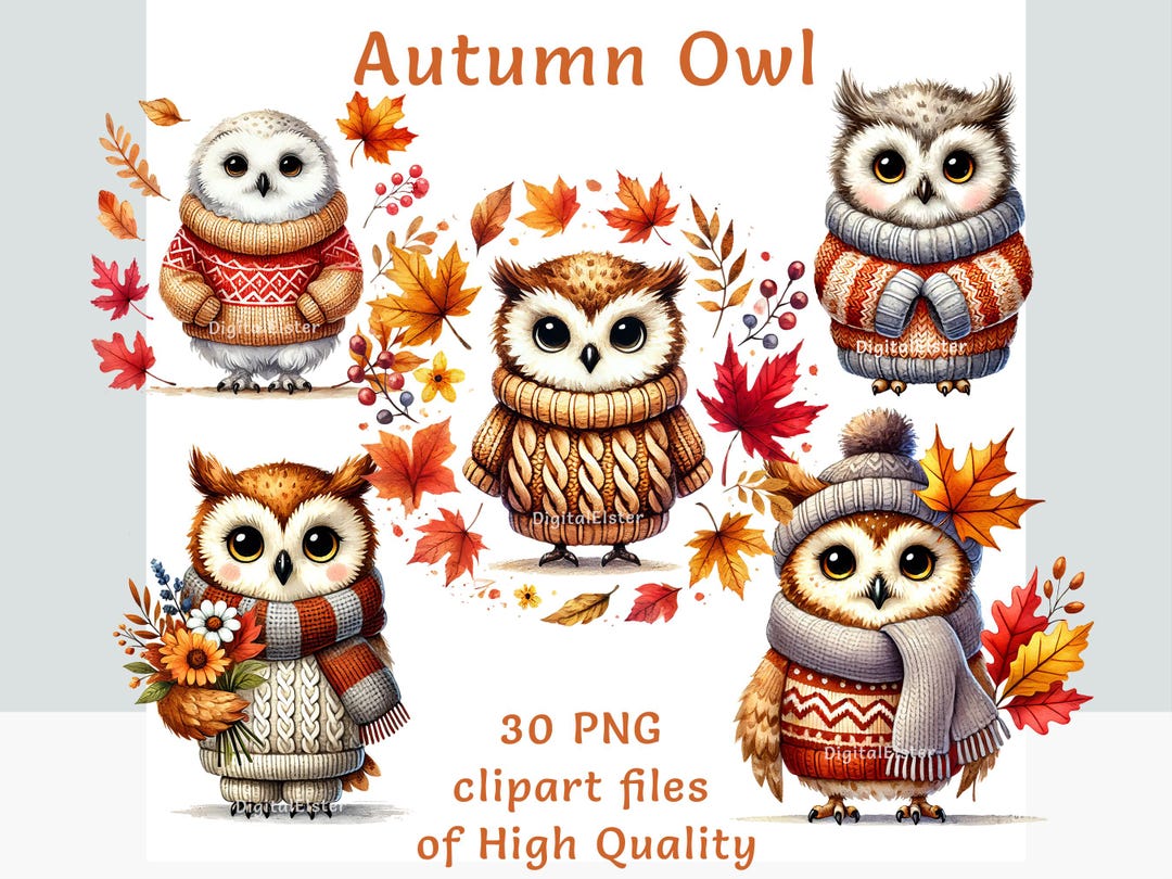 Owl Clipart | Autumn Clipart | 30 PNG Files | Watercolor Fall Clipart ...