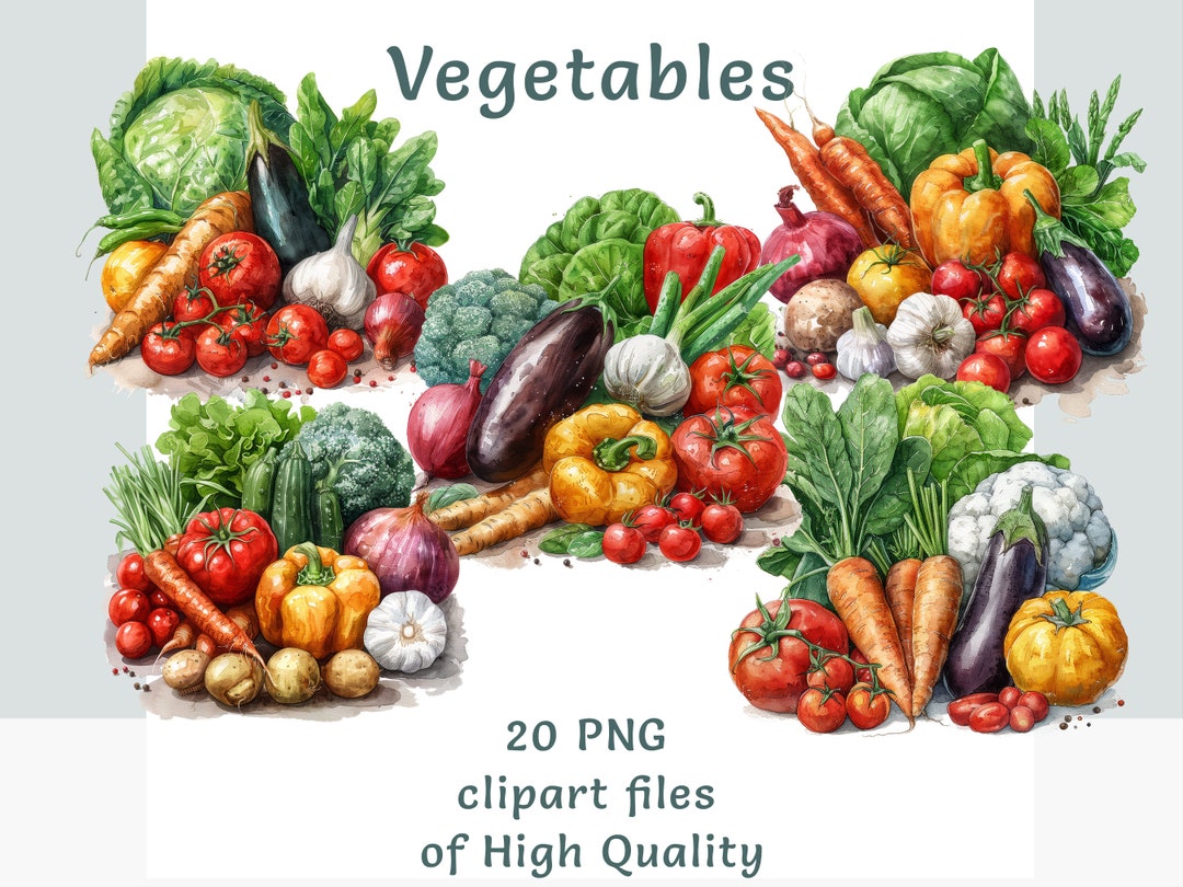Vegetable Clipart Set, 20 Watercolor PNG, Commercial Use, Perfect for ...