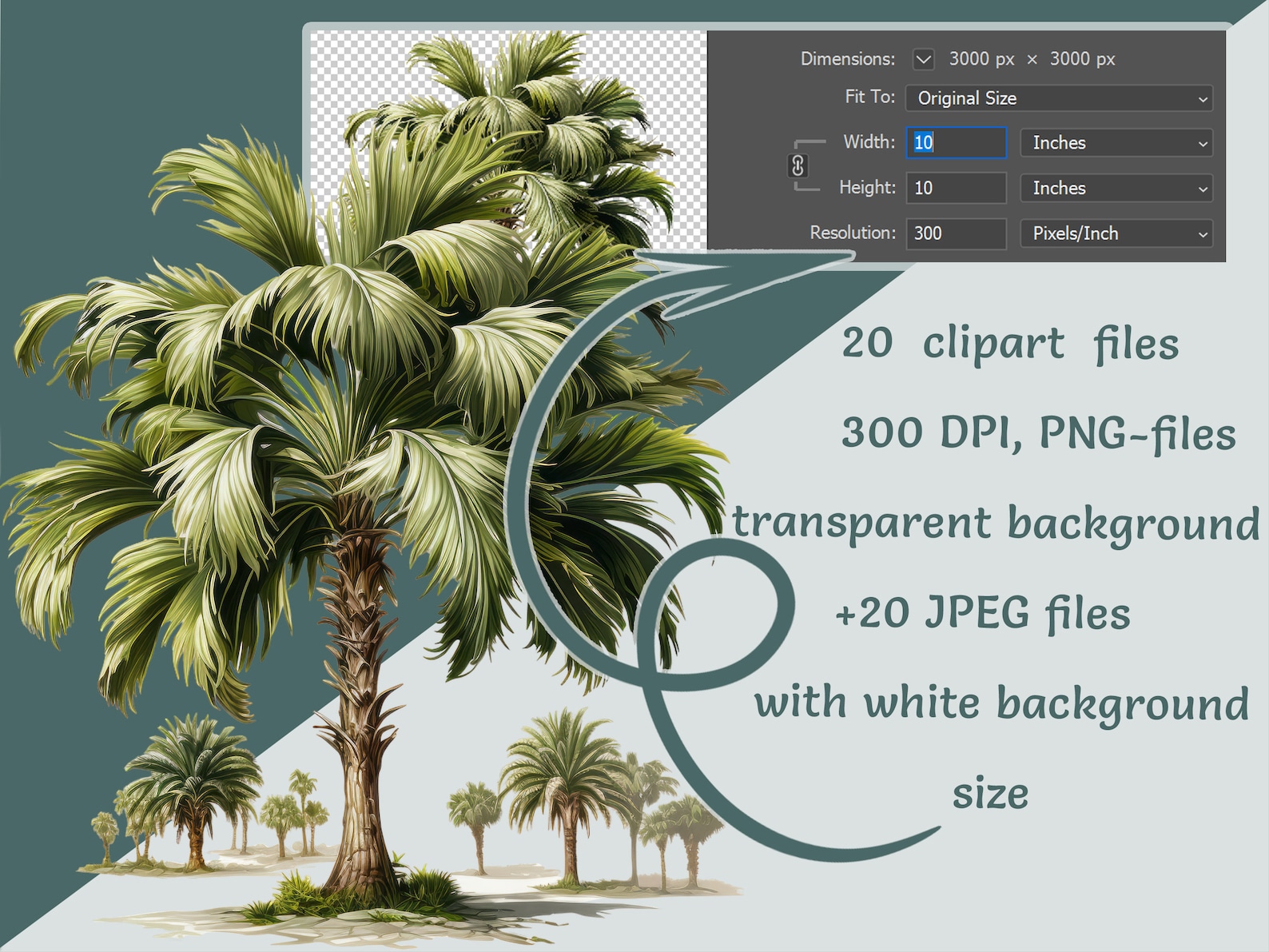 Watercolor Palm Clipart, 15 High Quality PNG and JPEG Files, Palm Tree ...