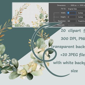 Watercolor Eucalyptus Wreath Clipart 20 High Quality PNG Ans JPEG ...