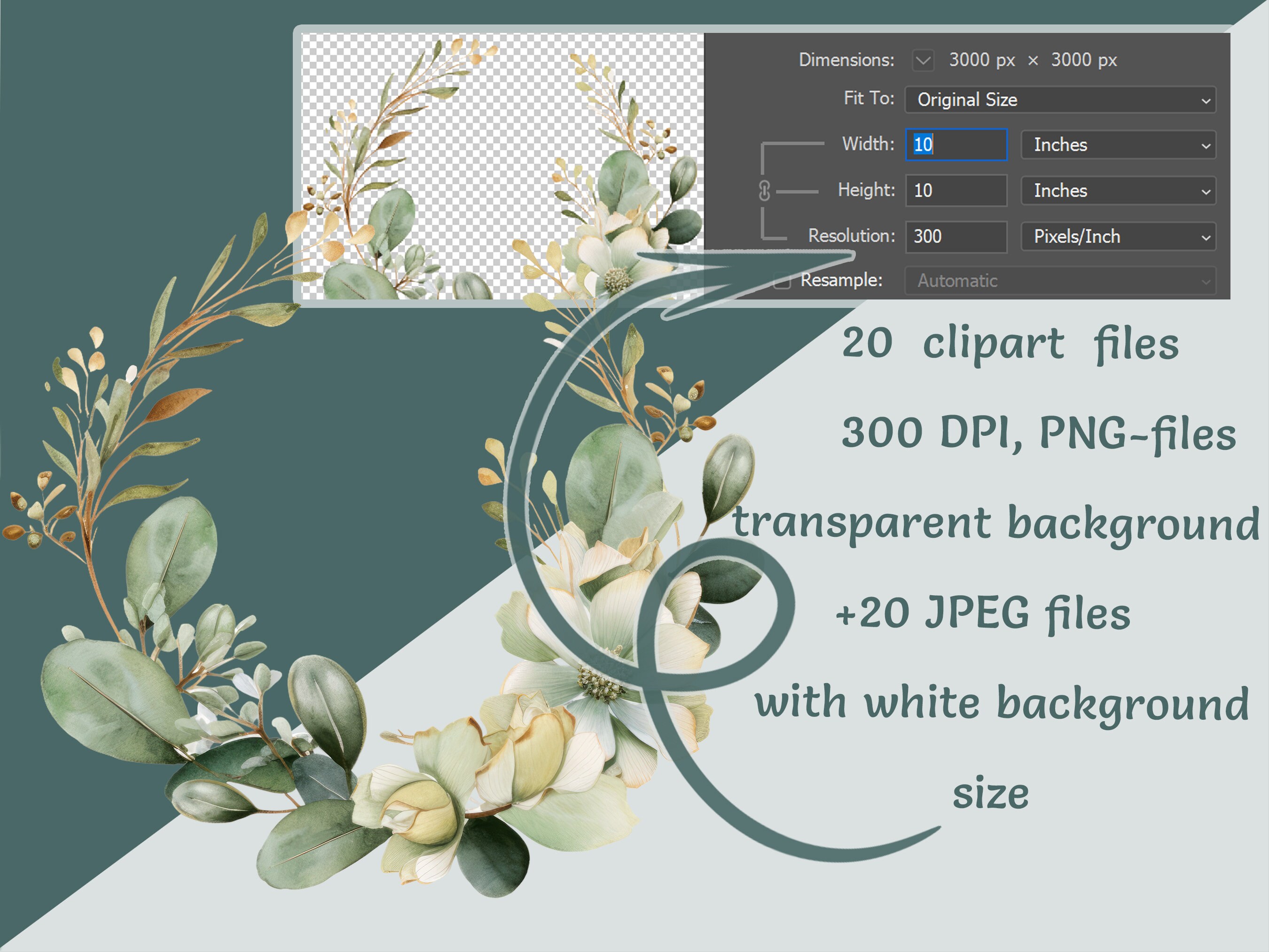 Watercolor Eucalyptus Wreath Clipart 20 High Quality PNG Ans - Etsy