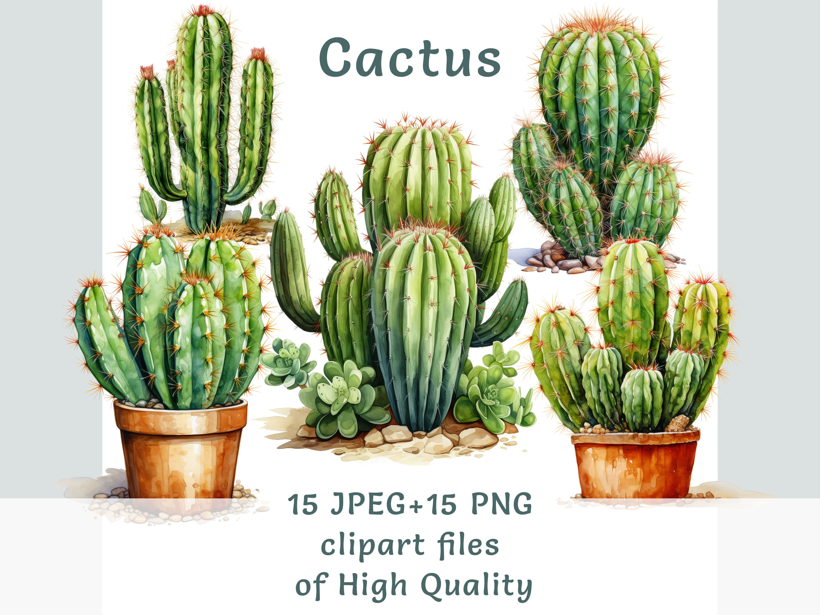 Cactus Clipart Bundle, Watercolor Desert Clipart, Commercial Use Green ...