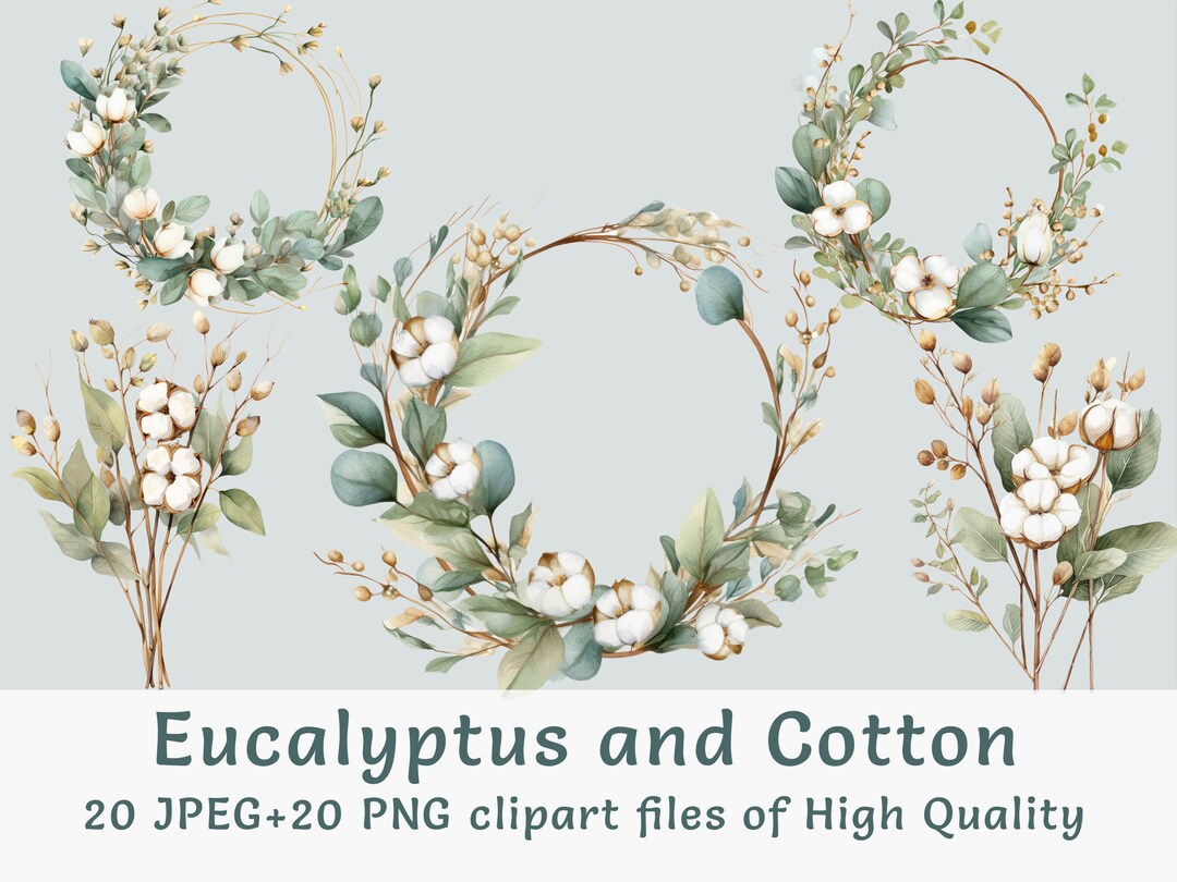 Watercolor Eucalyptus Wreath Clipart 20 High Quality PNG Ans JPEG ...