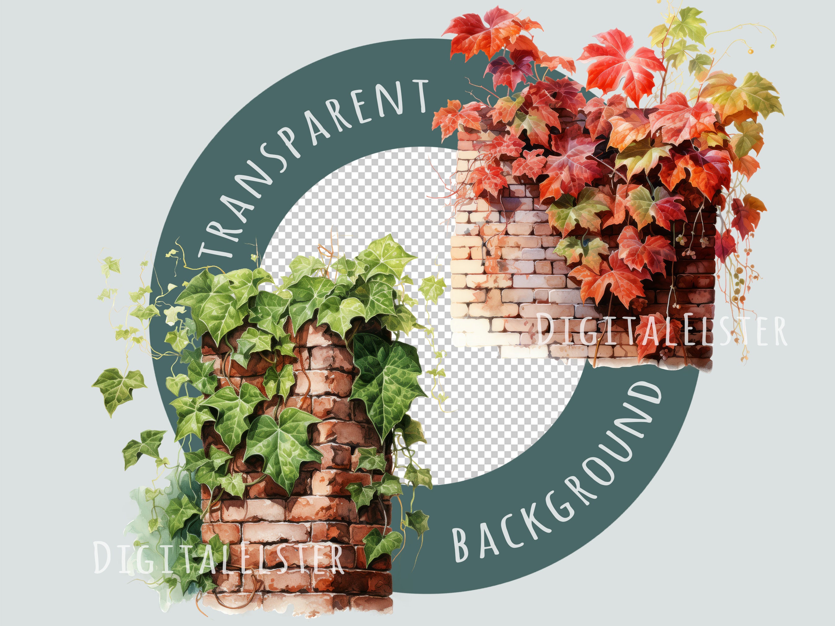 Klimop bakstenen muur clipart bundel, aquarel wijnstokken clipart ...