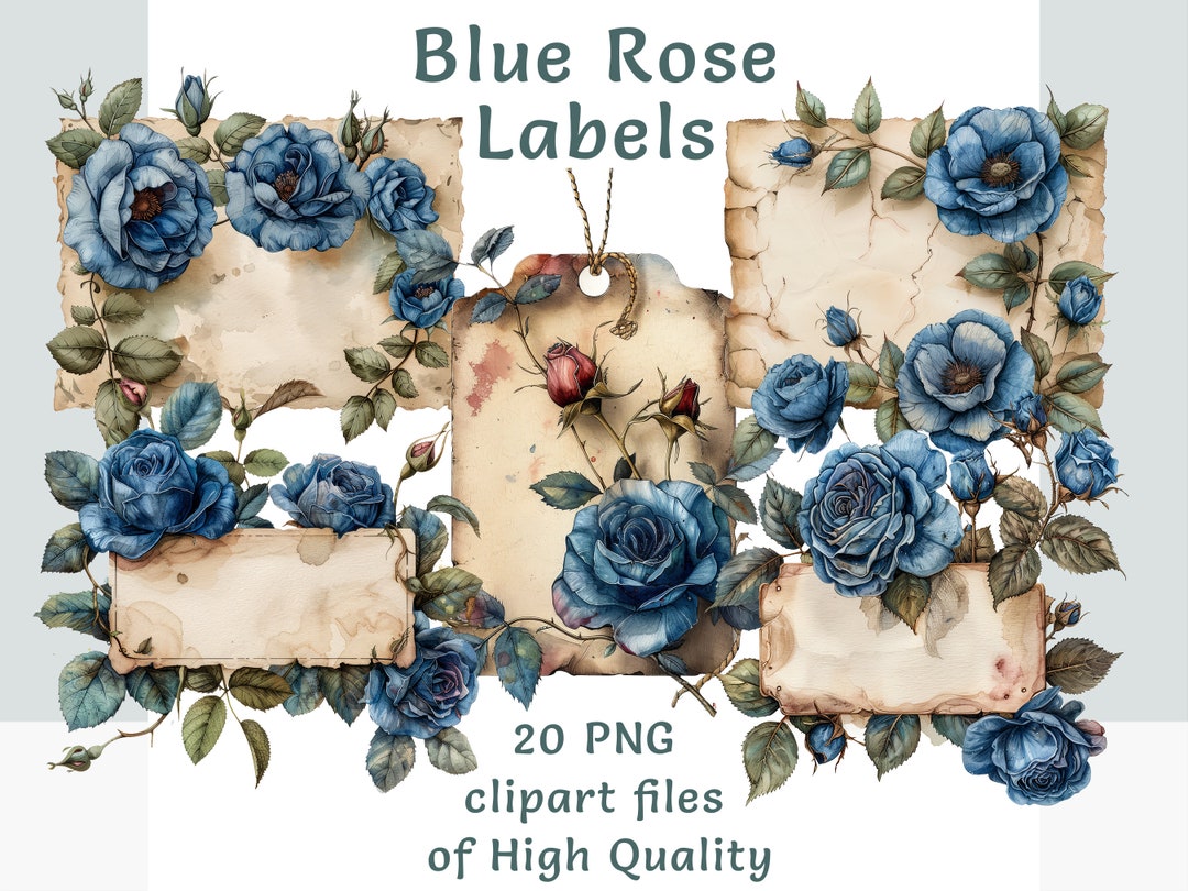 Horizontal Labels With Blue Roses Clipart, 20 Watercolor PNG ...
