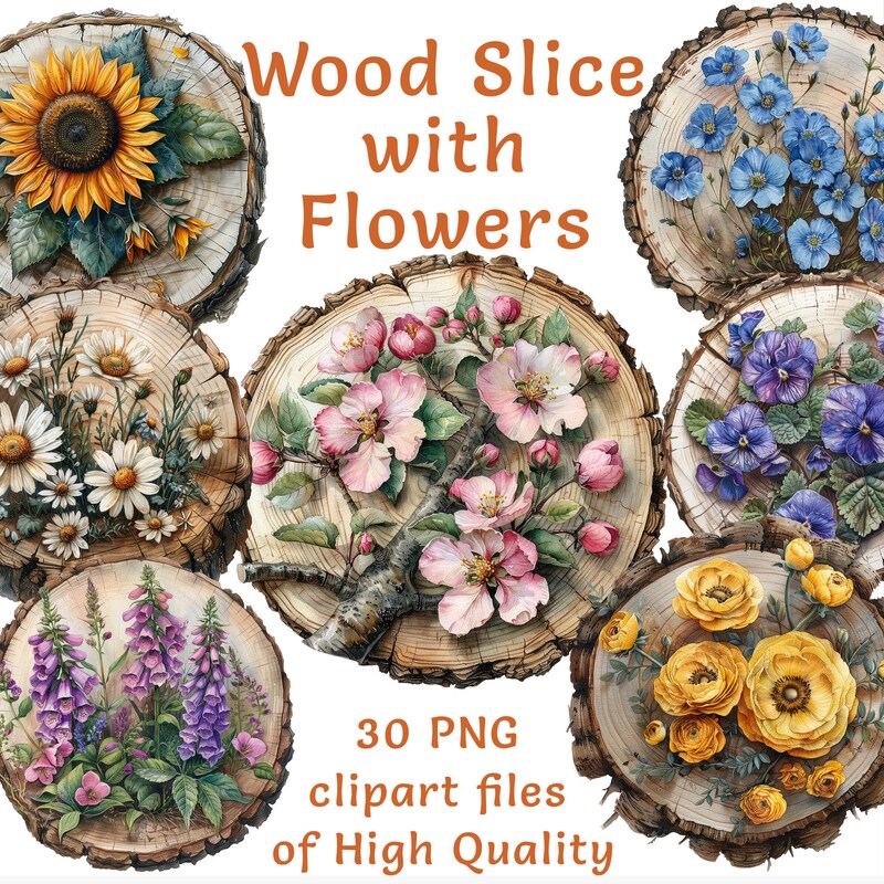 Wood Slice Wall Art - Etsy