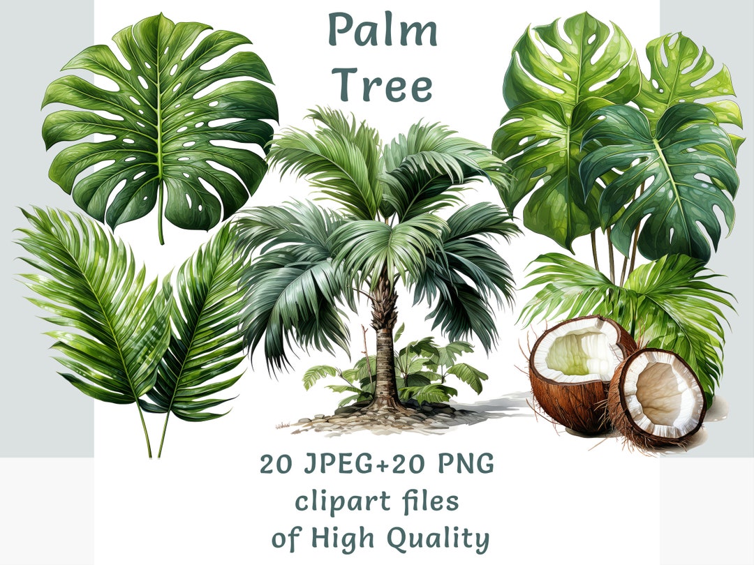 Watercolor Palm Clipart, 15 High Quality PNG and JPEG Files, Palm Tree ...
