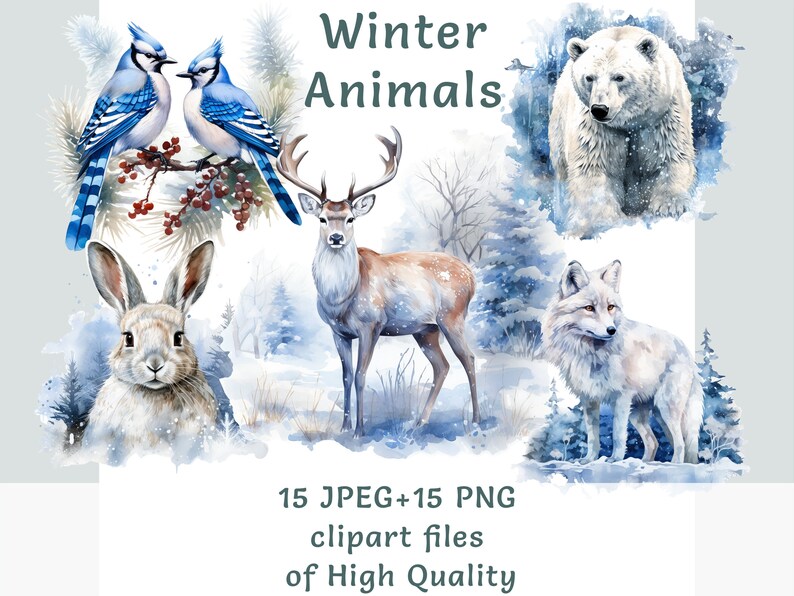 Watercolor Winter Animals Clipart 15 High Quality Pngs and - Etsy