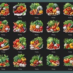 Vegetable Clipart Set, 20 Watercolor PNG, Commercial Use, Perfect for ...
