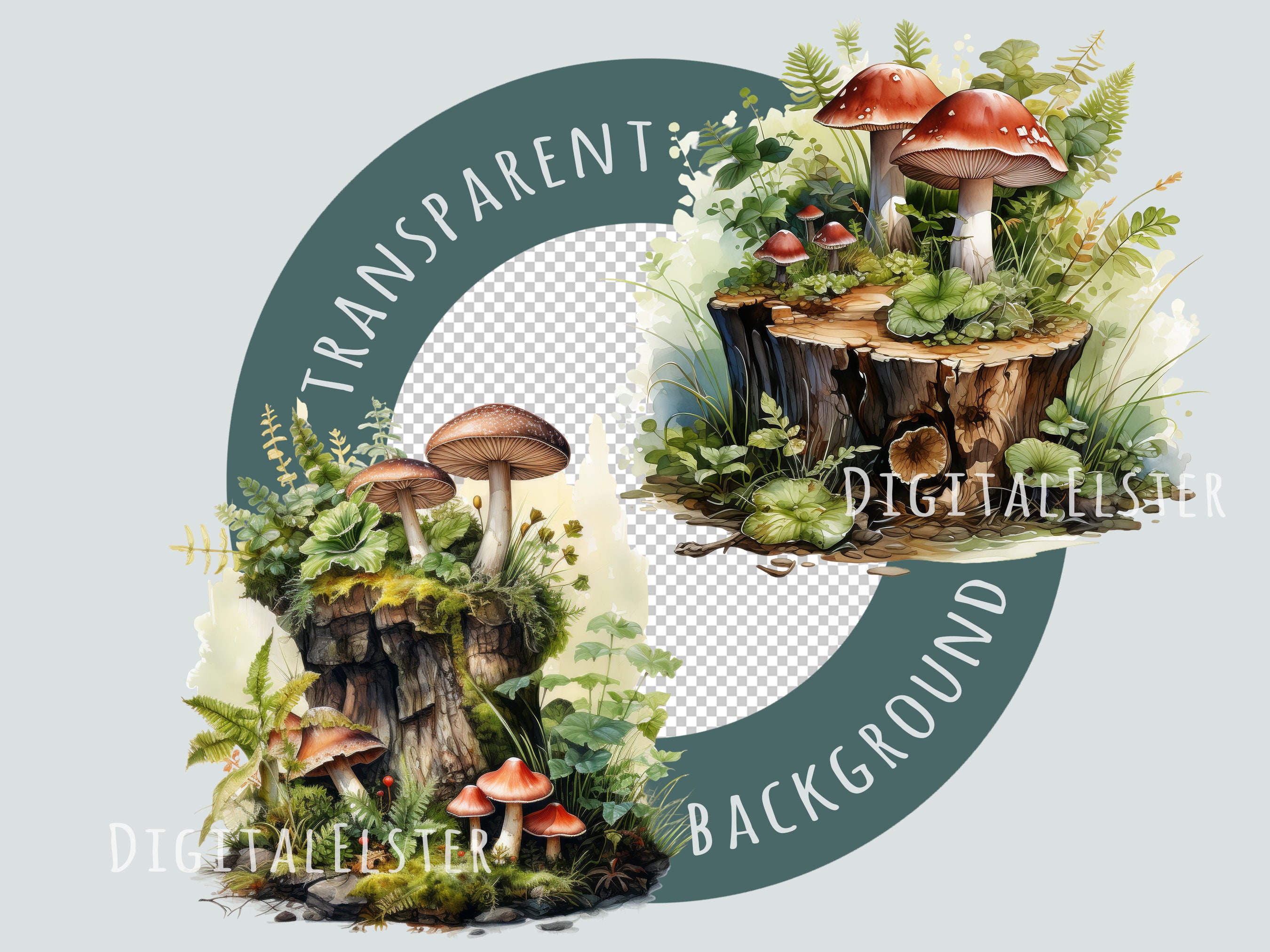 Watercolor Forest Mushroom Clipart, 15 High Quality PNG and JPEG ...