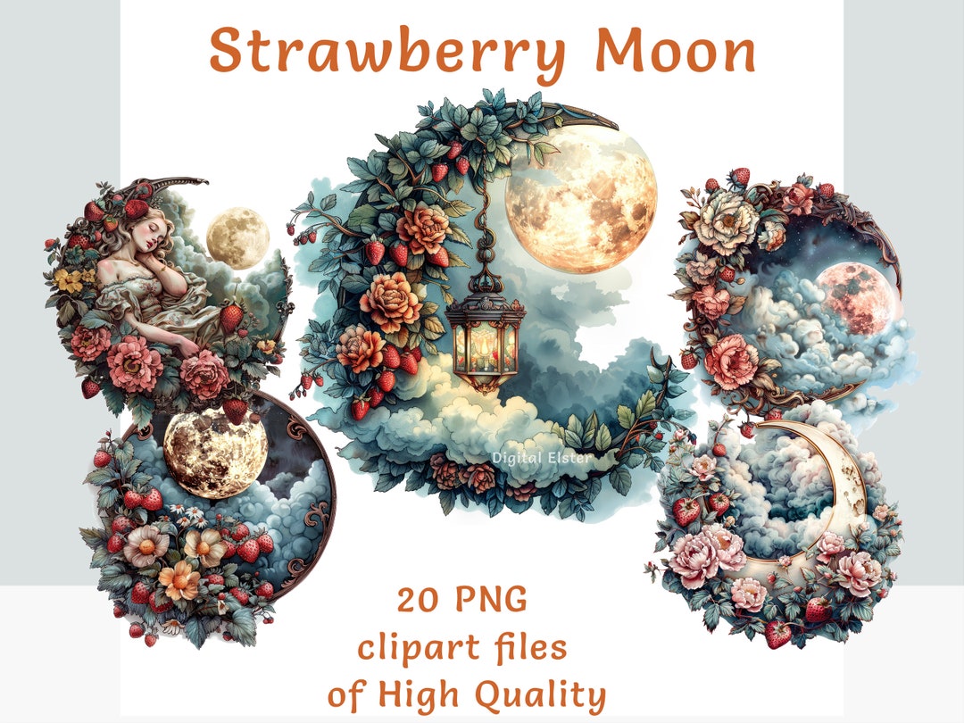 Strawberry Moon Clipart | 20 PNG Stickers | Celestial & Floral Night ...