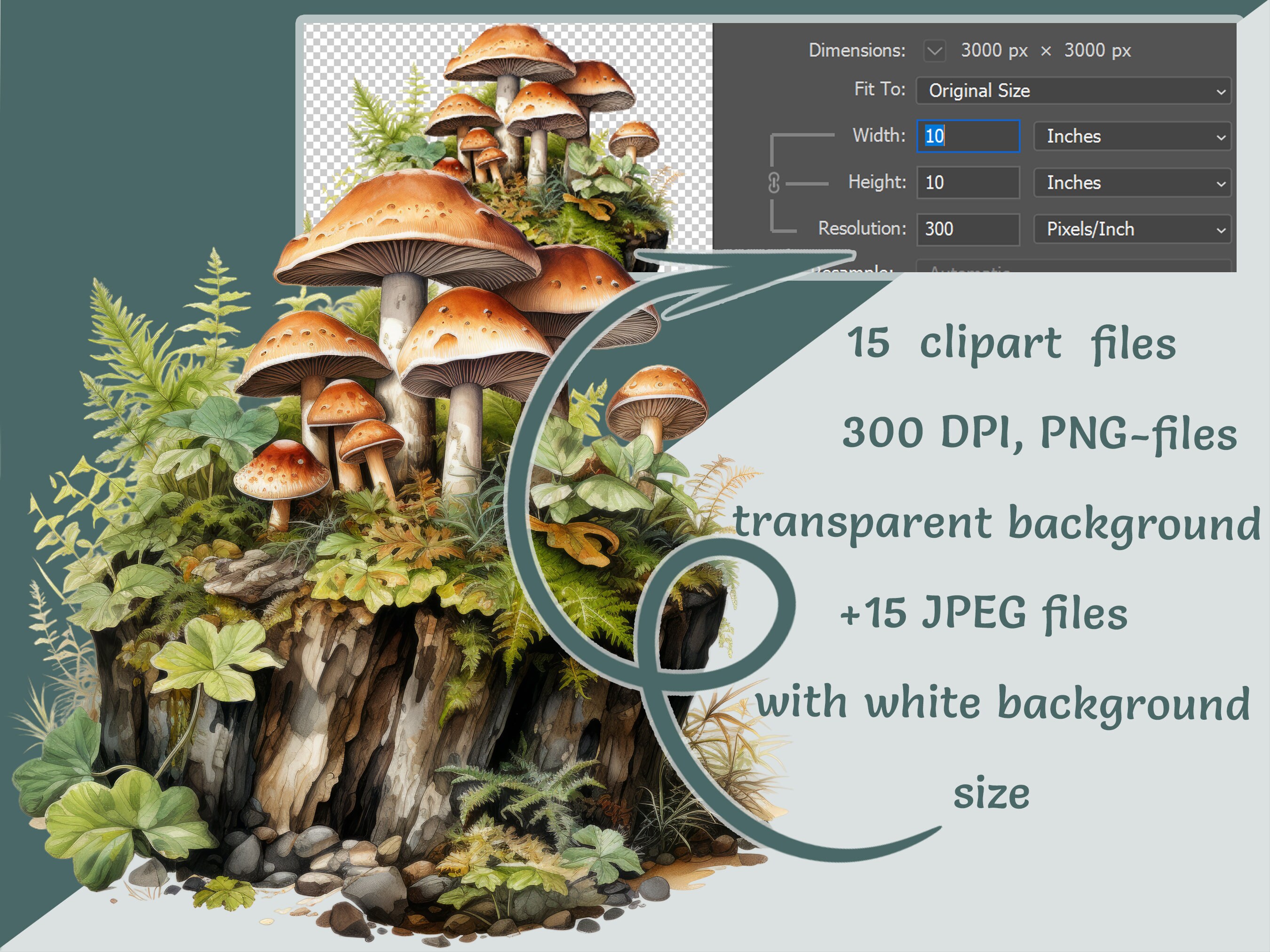 Watercolor Forest Mushroom Clipart, 15 High Quality PNG and JPEG ...