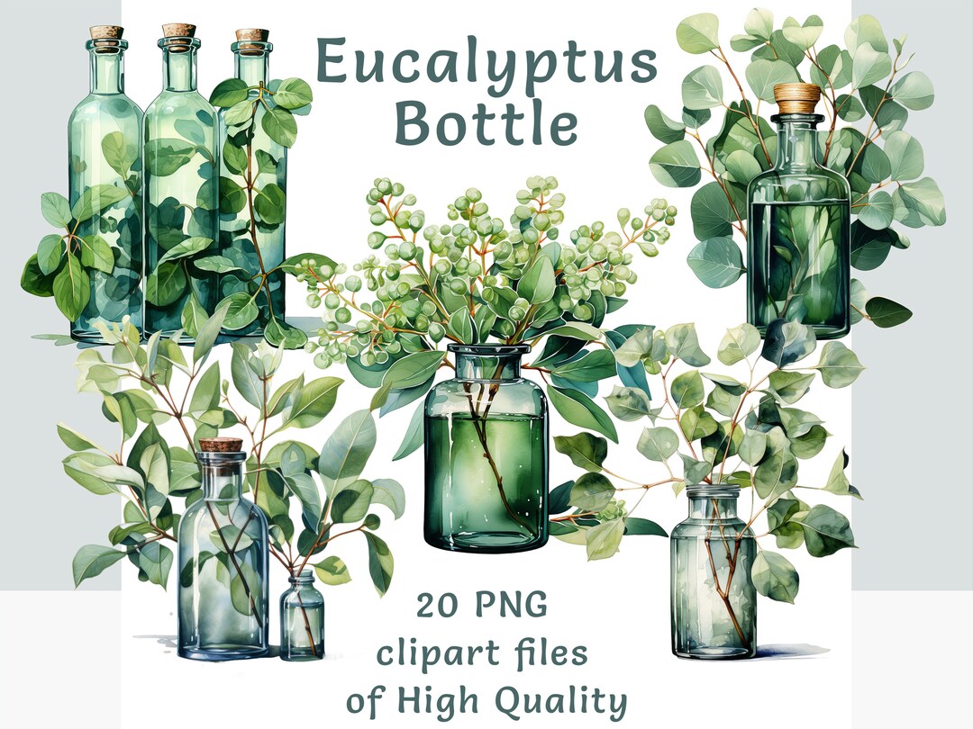 Watercolor Eucalyptus Clipart Bundle, High Quality Bottle Stickers Pack ...