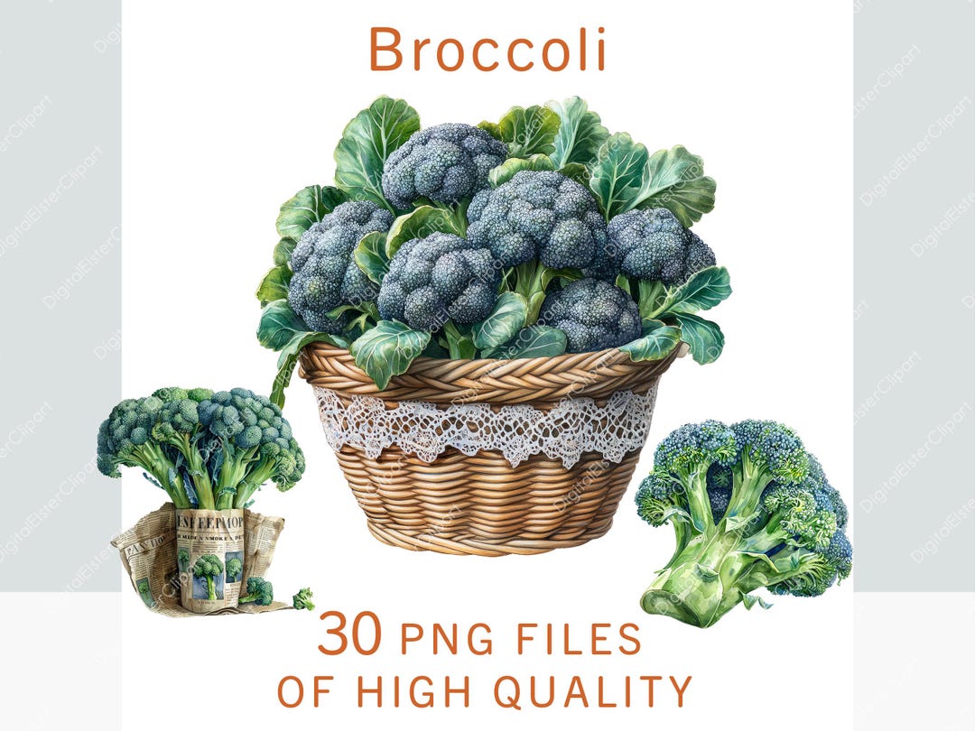 Watercolor Broccoli Clipart, 30 PNG Healthy Food Illustrations, Organic ...